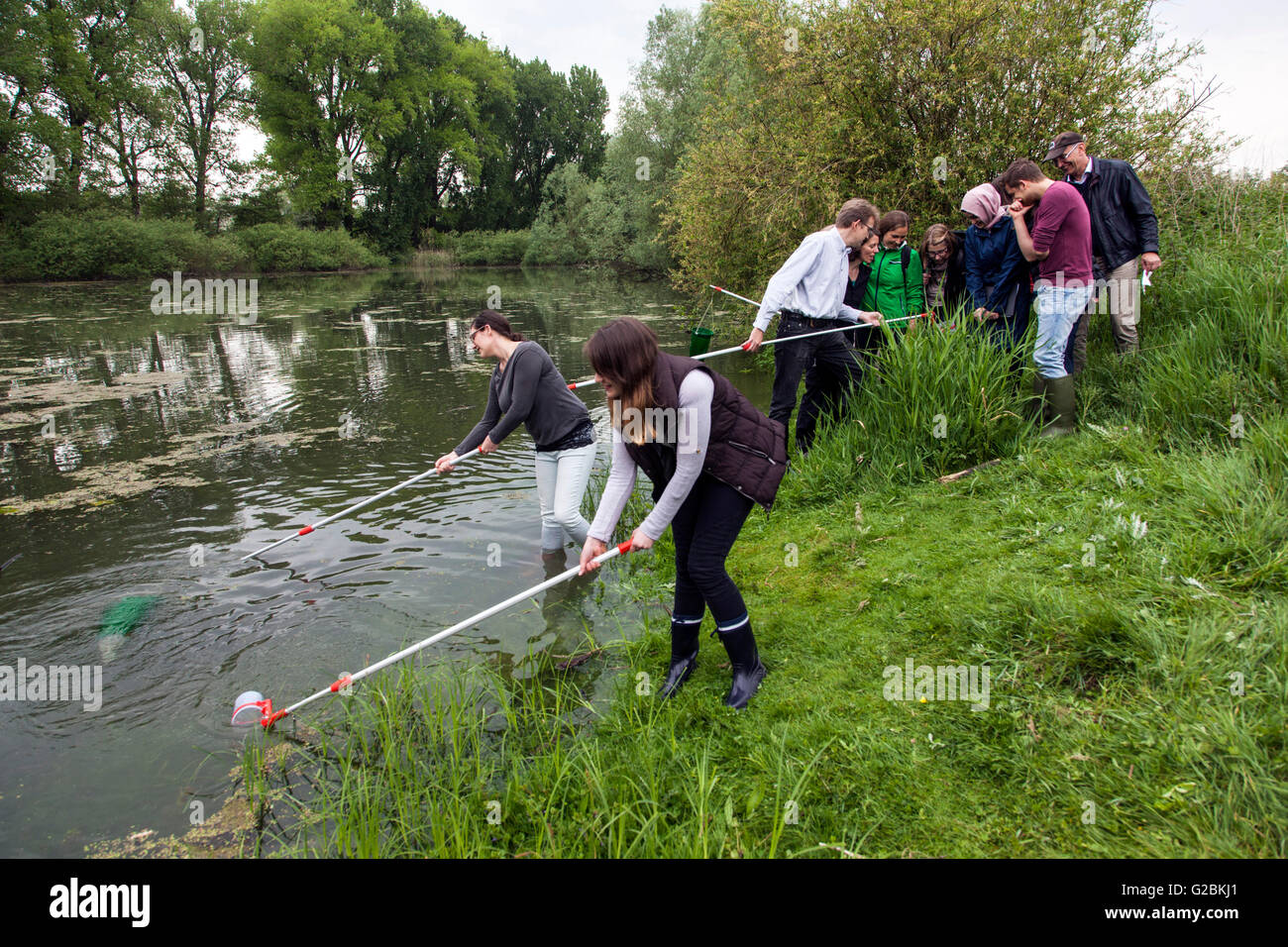 Biologists takes a water sample in an overgrown pond Stock Photo - Alamy