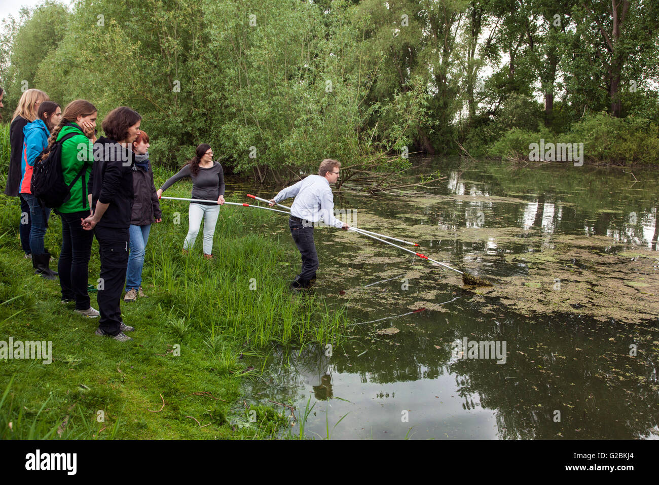 Biologists takes a water sample in an overgrown pond Stock Photo - Alamy