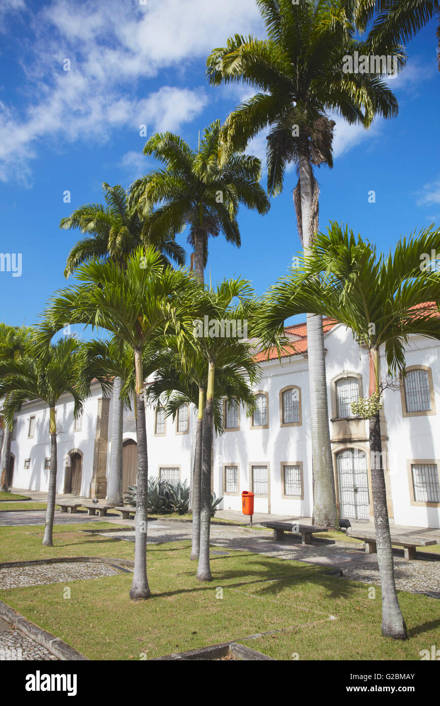 Rio de janeiro national history museum hi-res stock photography and ...