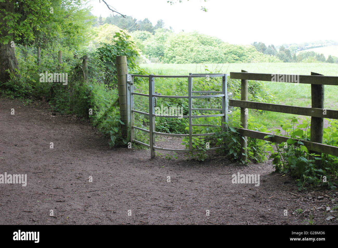 Latch on metal farm gate hi-res stock photography and images - Alamy