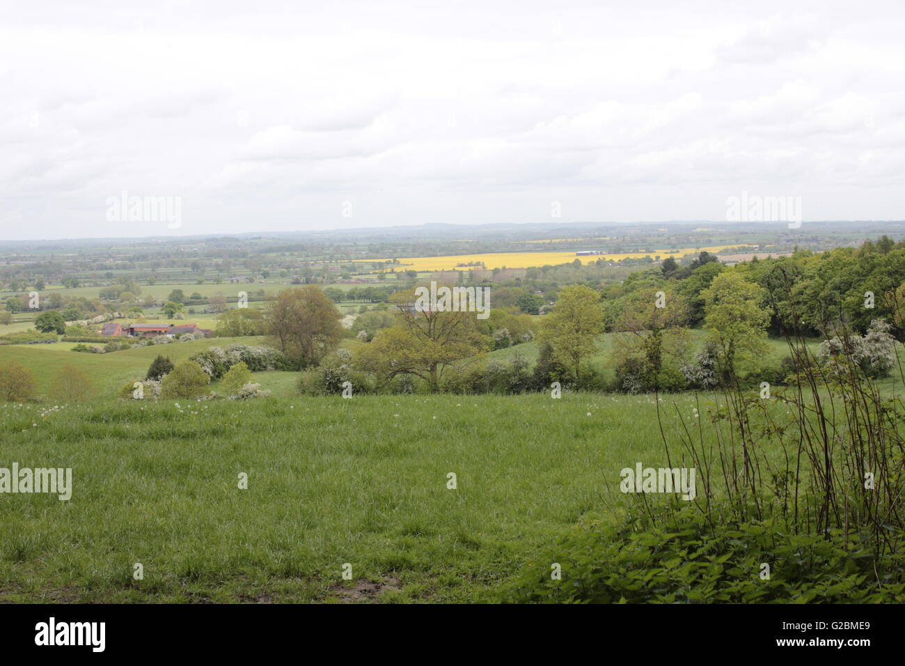 British farm and grassland view Stock Photo - Alamy