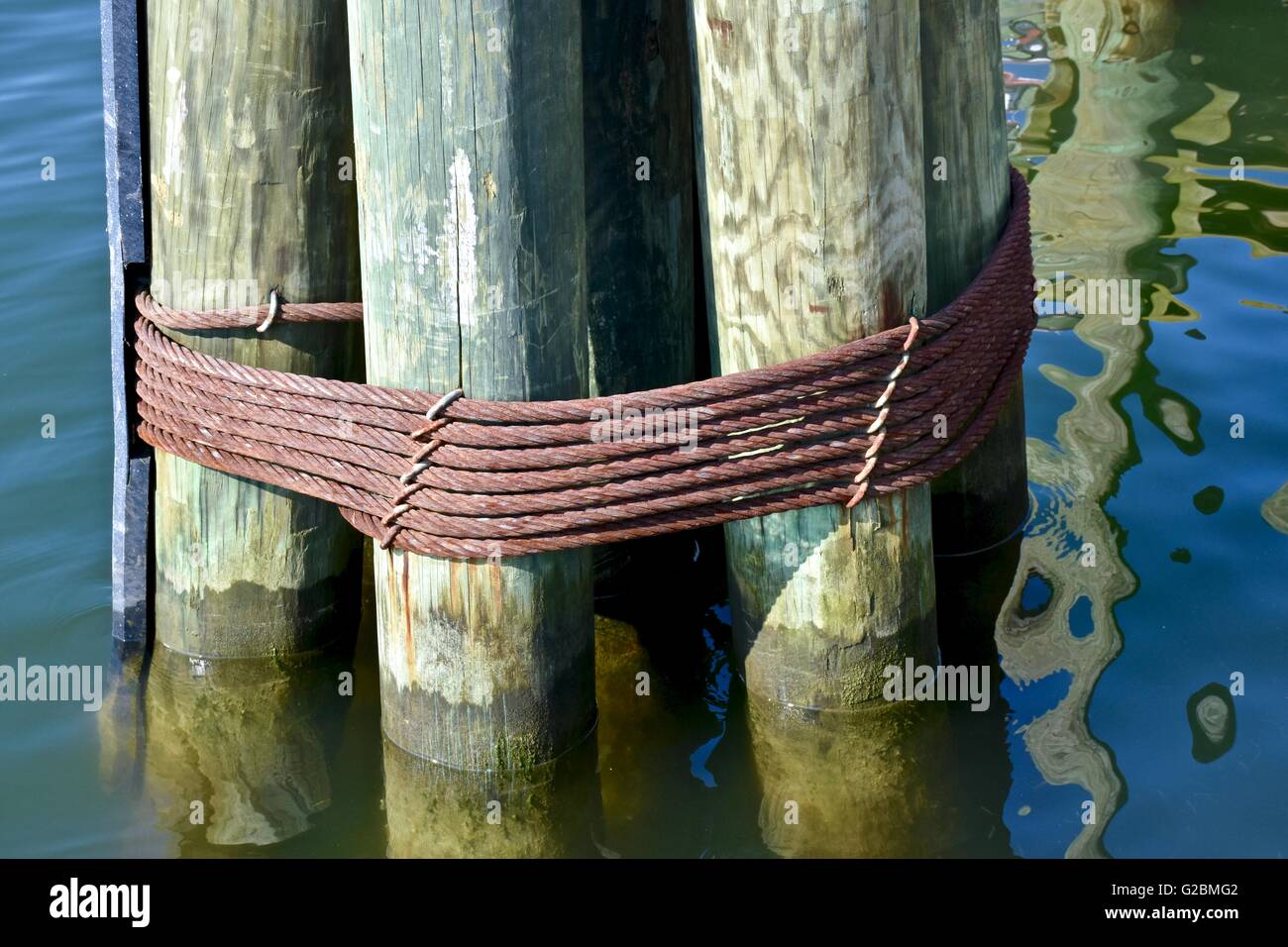Large wood posts in the bay to support the boat docks in the Annapolis ...