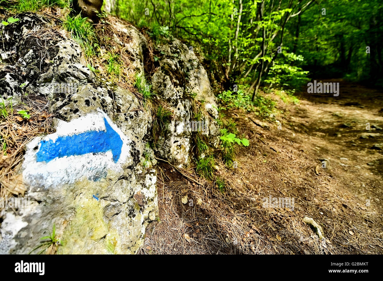 Hiking paint marking on a trail path into the woods Stock Photo - Alamy