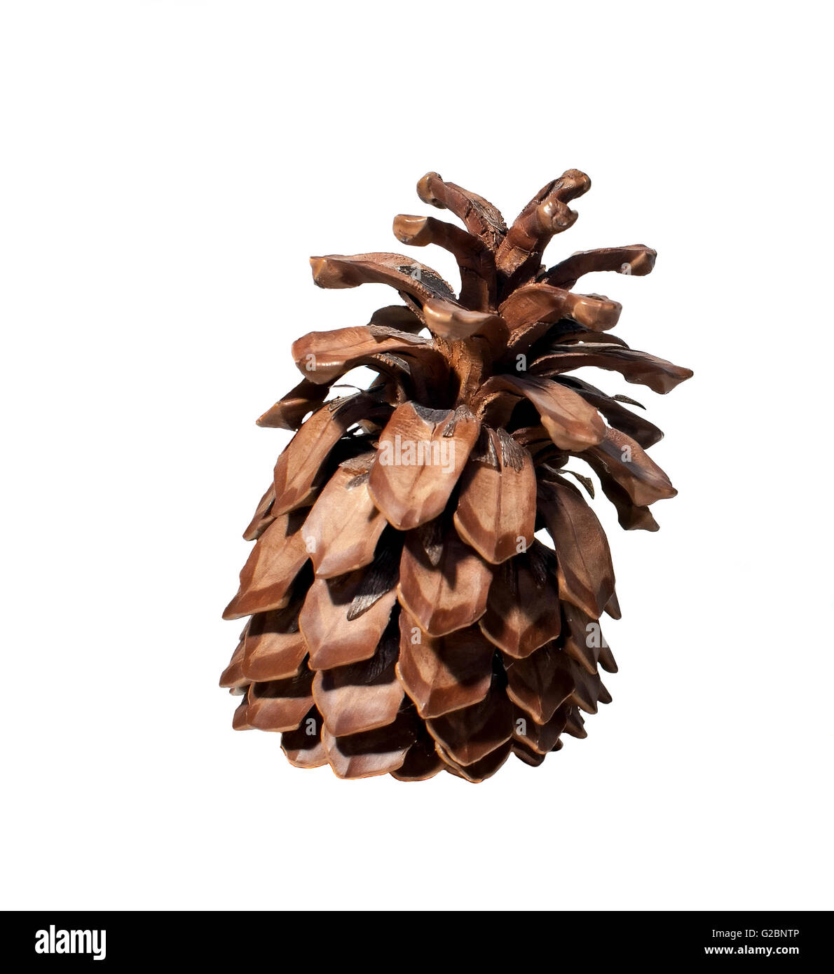 Medical cone Cut Out Stock Images & Pictures - Alamy