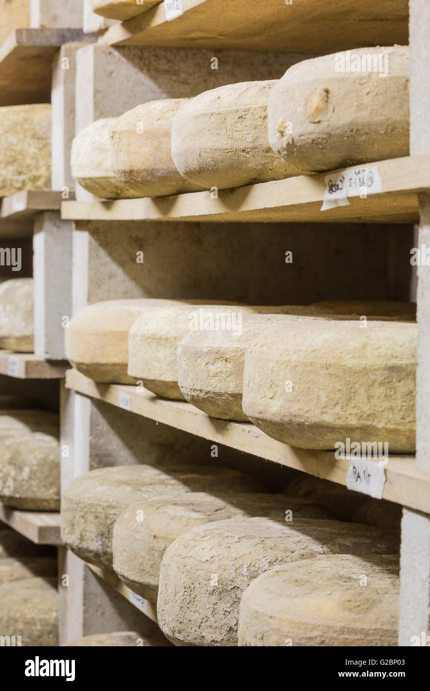 Cheese cave hi-res stock photography and images - Alamy