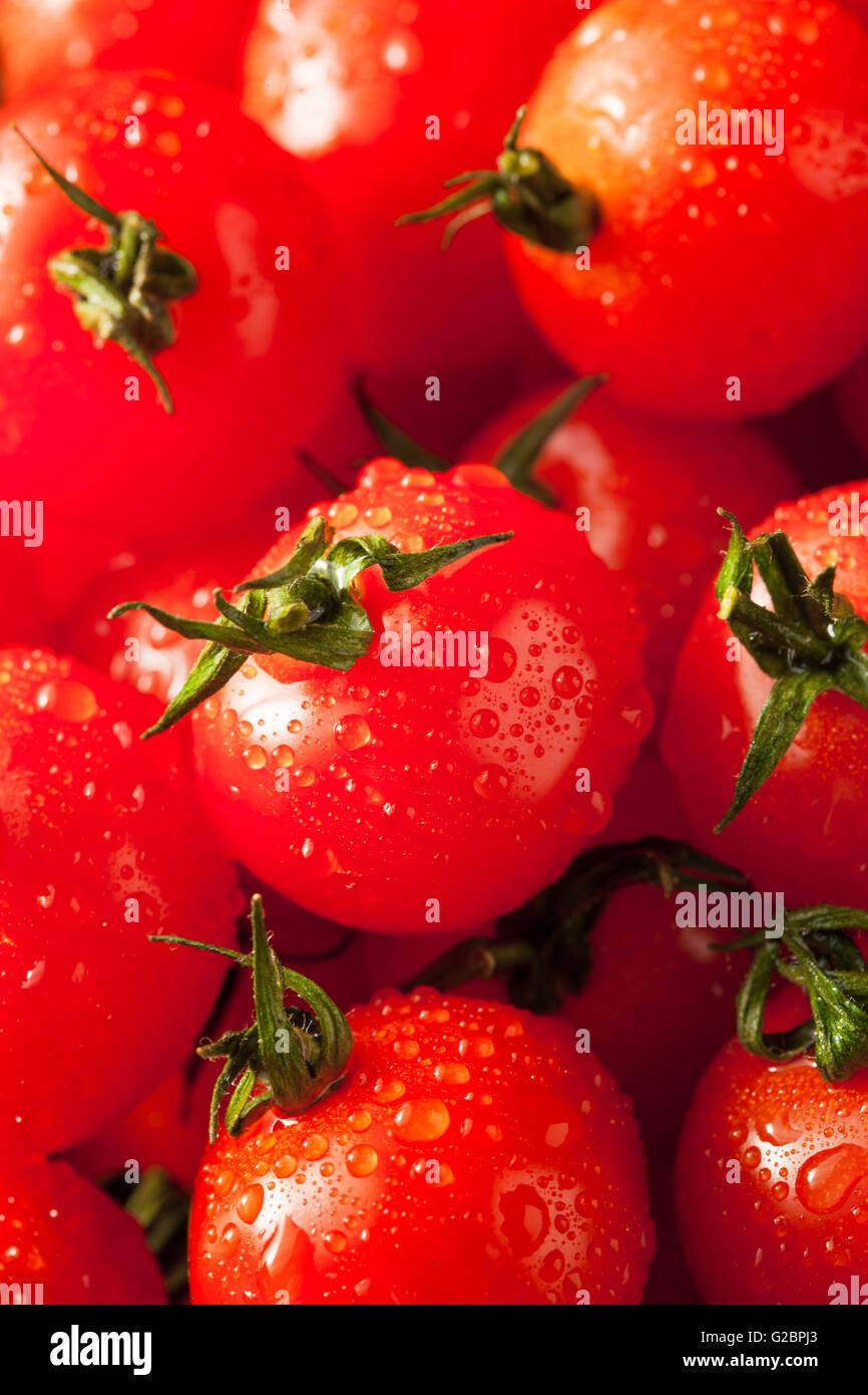 Raw Organic Red Cherry Tomatoes Ready to Eat Stock Photo - Alamy