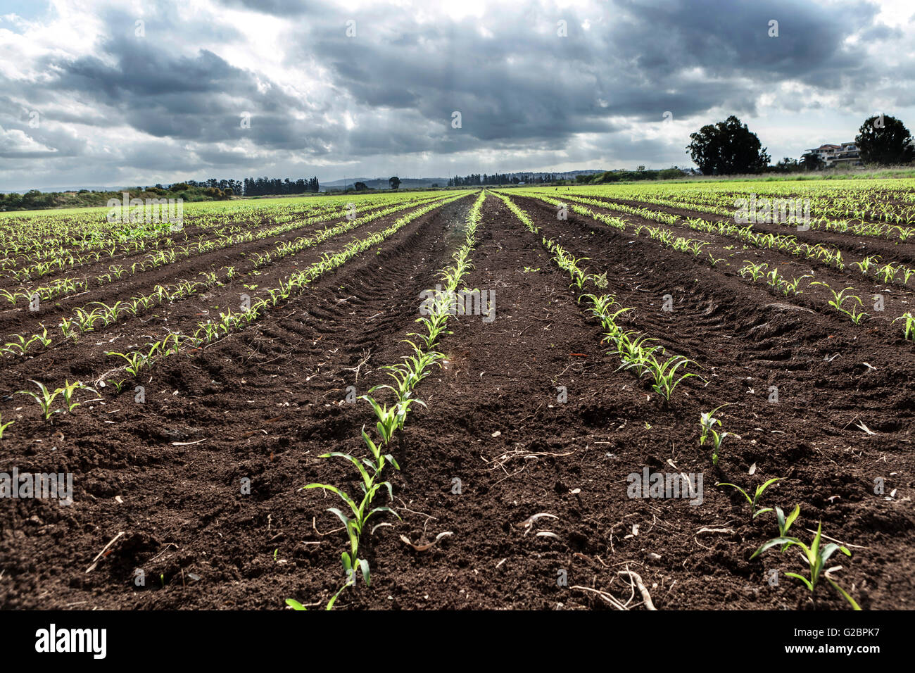 Ground sky hi-res stock photography and images - Alamy