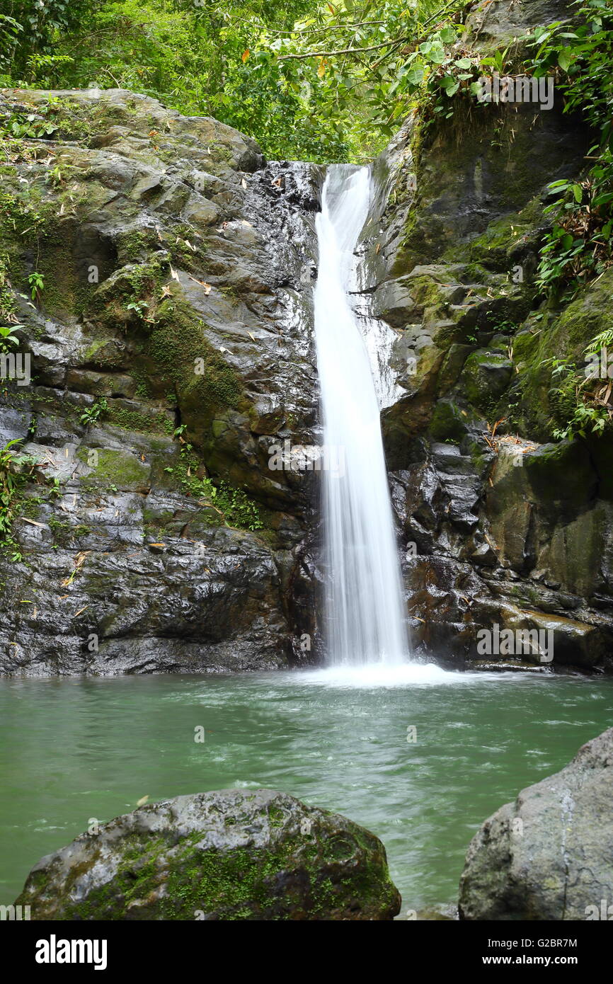 Spectacular waterfall in the Costa Rican jungle Stock Photo - Alamy