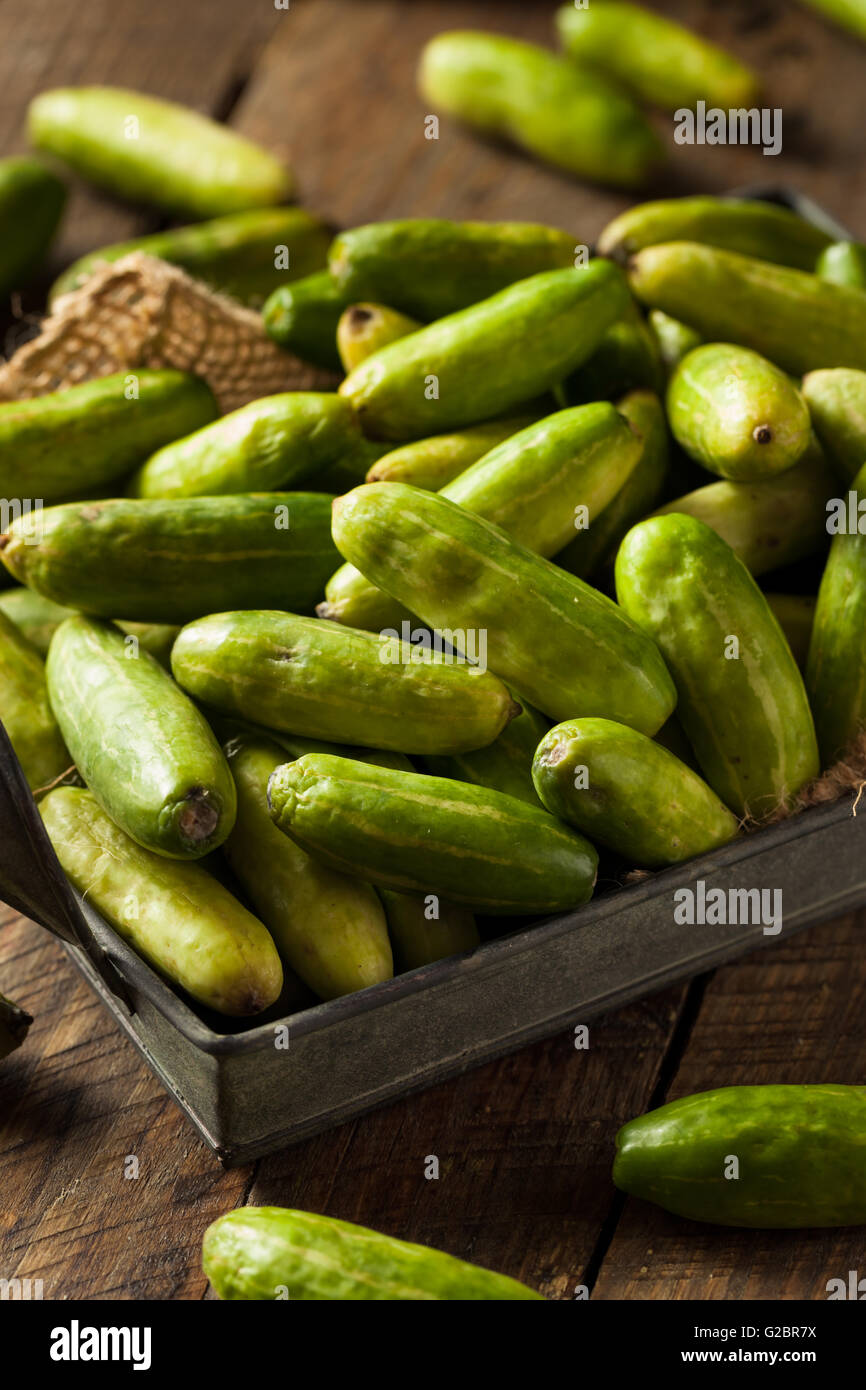 Tindoras hi-res stock photography and images - Alamy