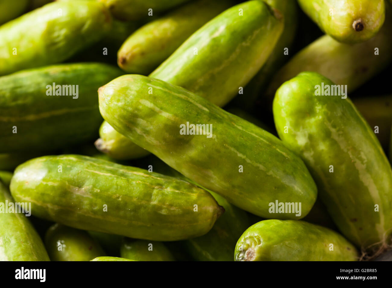 Tindoras hi-res stock photography and images - Alamy