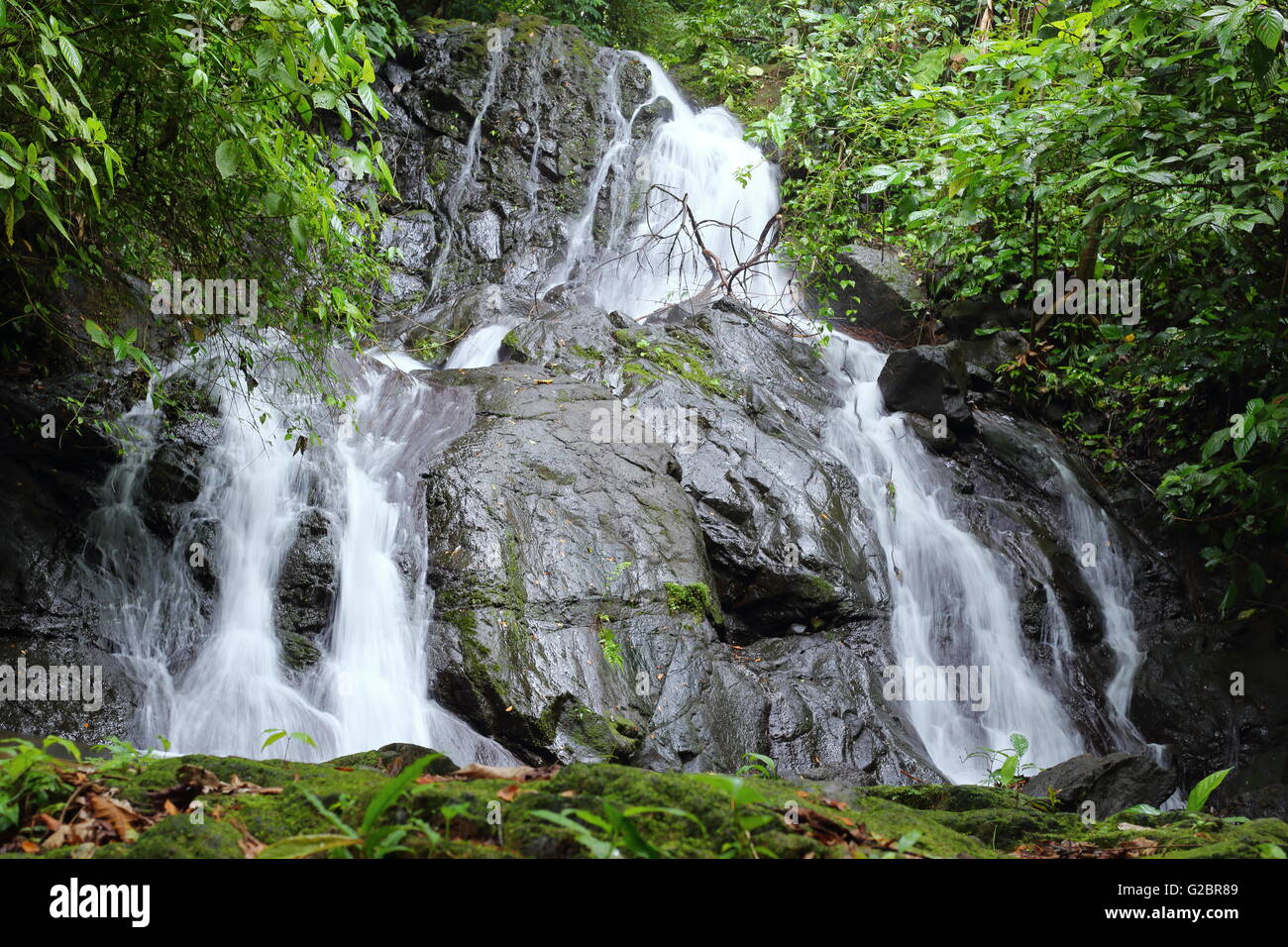 Spectacular waterfall in the Costa Rican jungle Stock Photo - Alamy