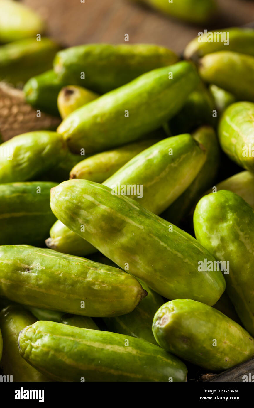 Raw Green Organic Tindora in a Basket Stock Photo - Alamy