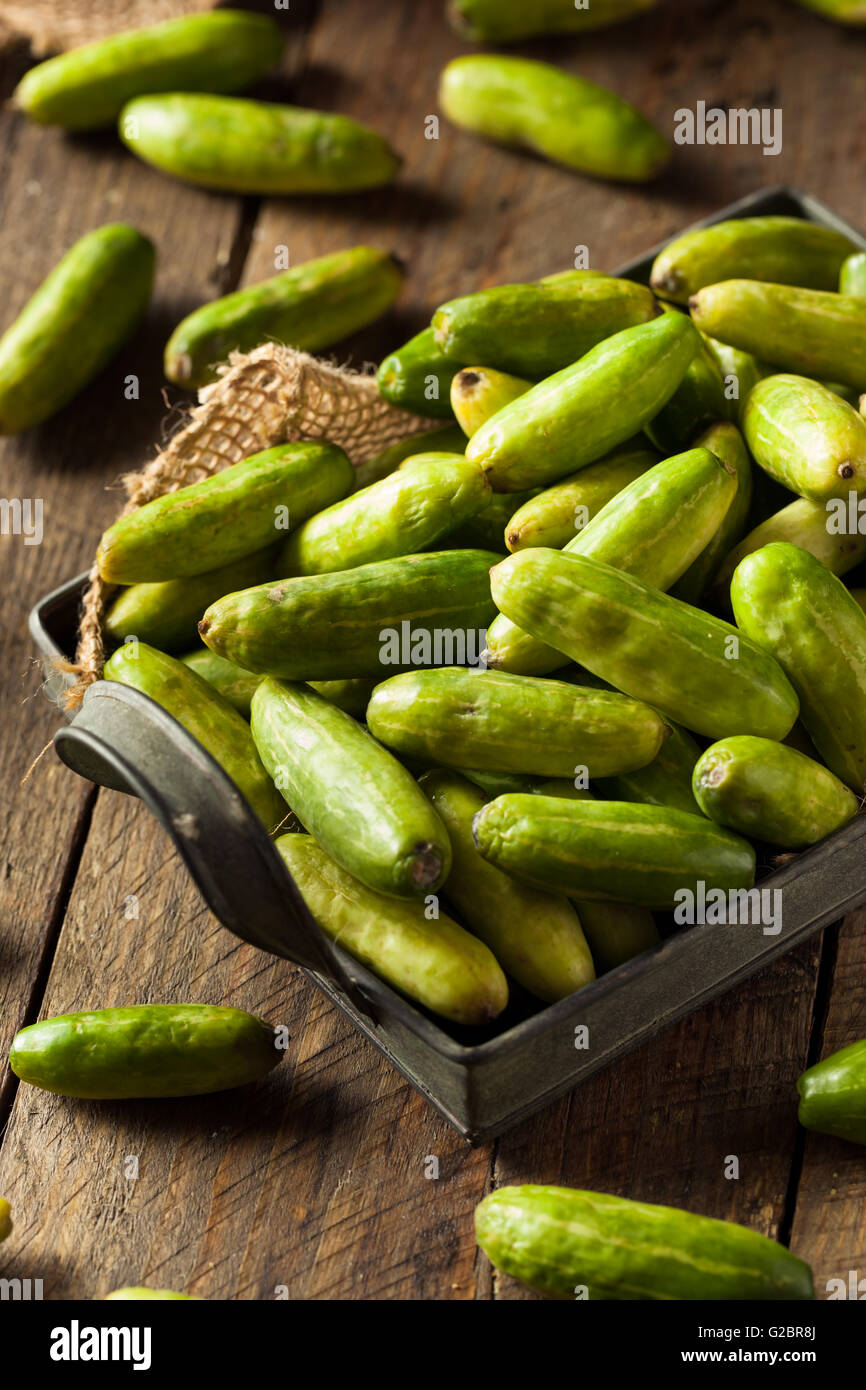 Raw Green Organic Tindora in a Basket Stock Photo - Alamy