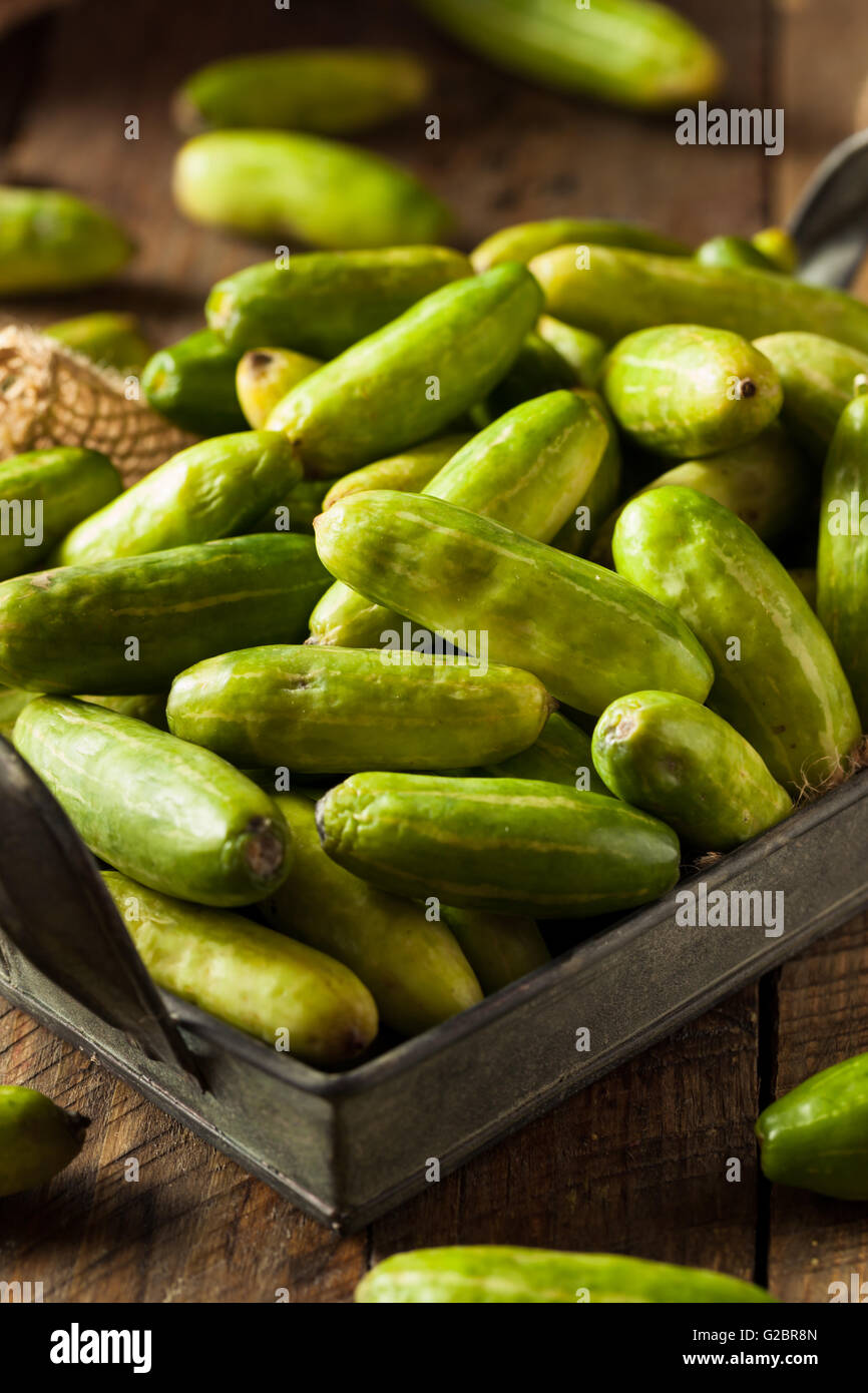 Tondli hi-res stock photography and images - Alamy