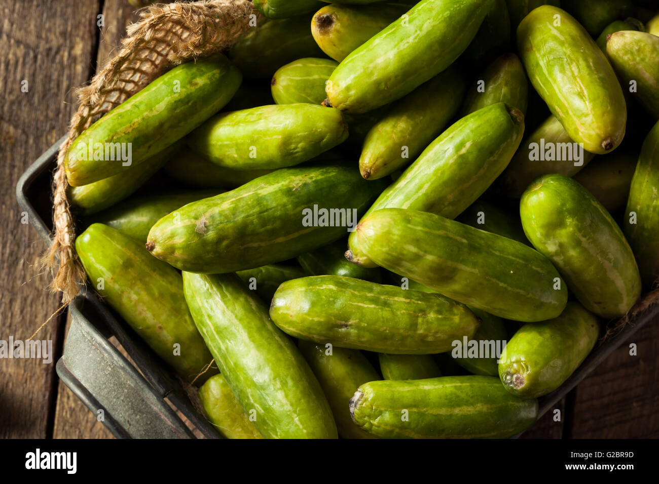 Tindoras hi-res stock photography and images - Alamy