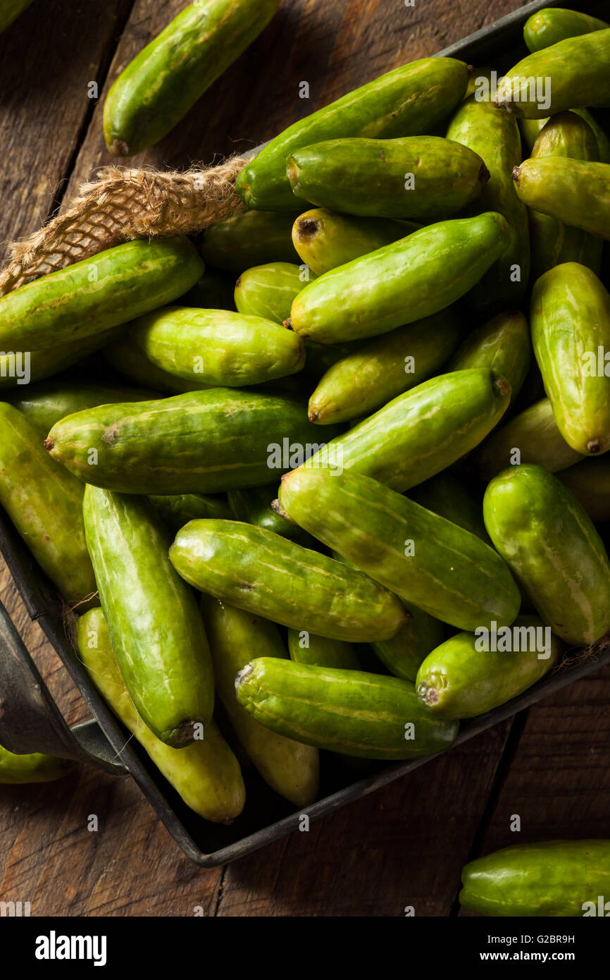 Tindoras hi-res stock photography and images - Alamy