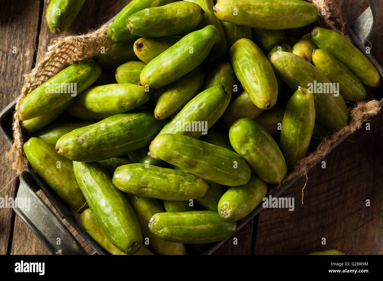 Tindoras hi-res stock photography and images - Alamy