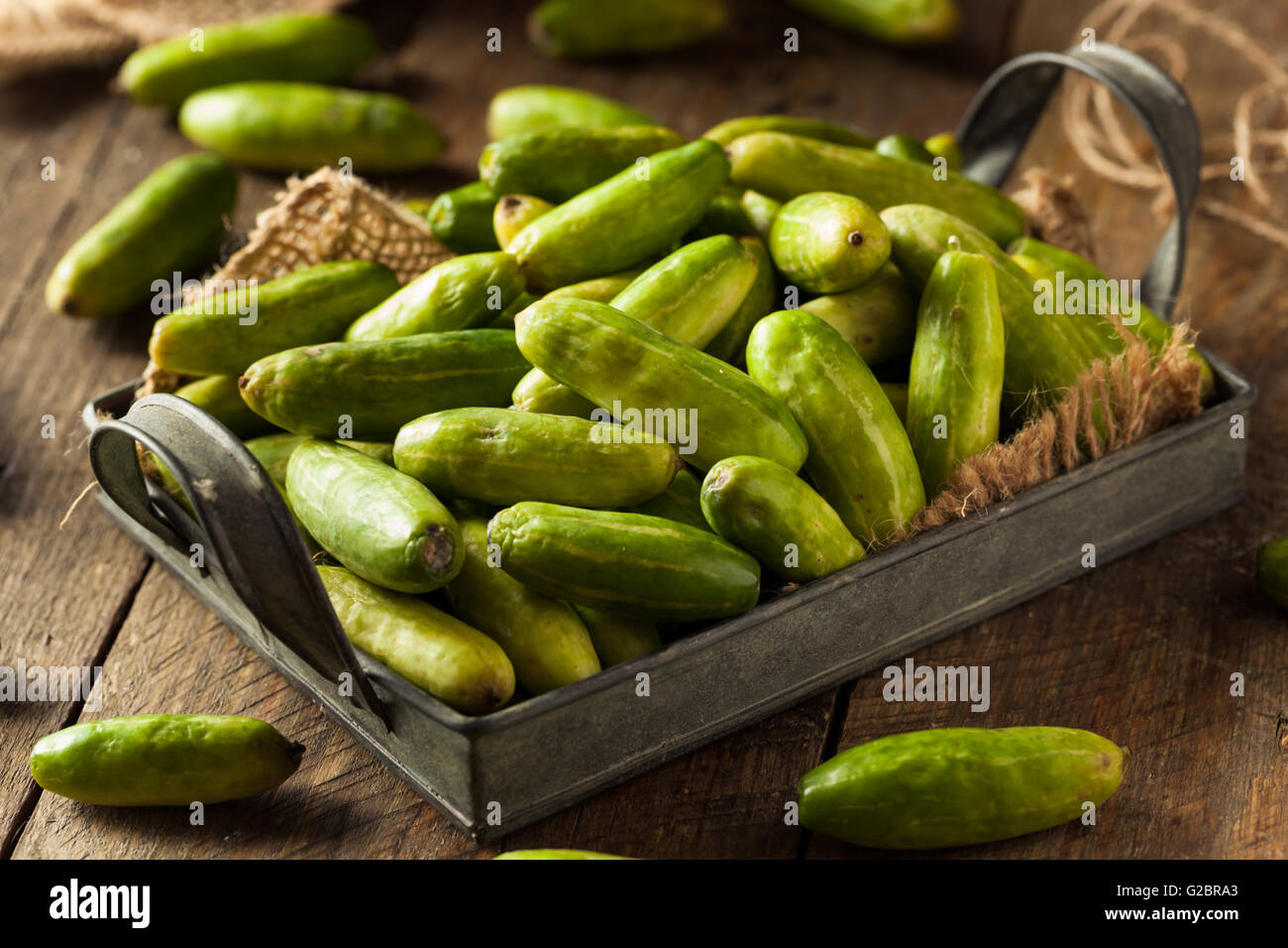 Tindoras hi-res stock photography and images - Alamy