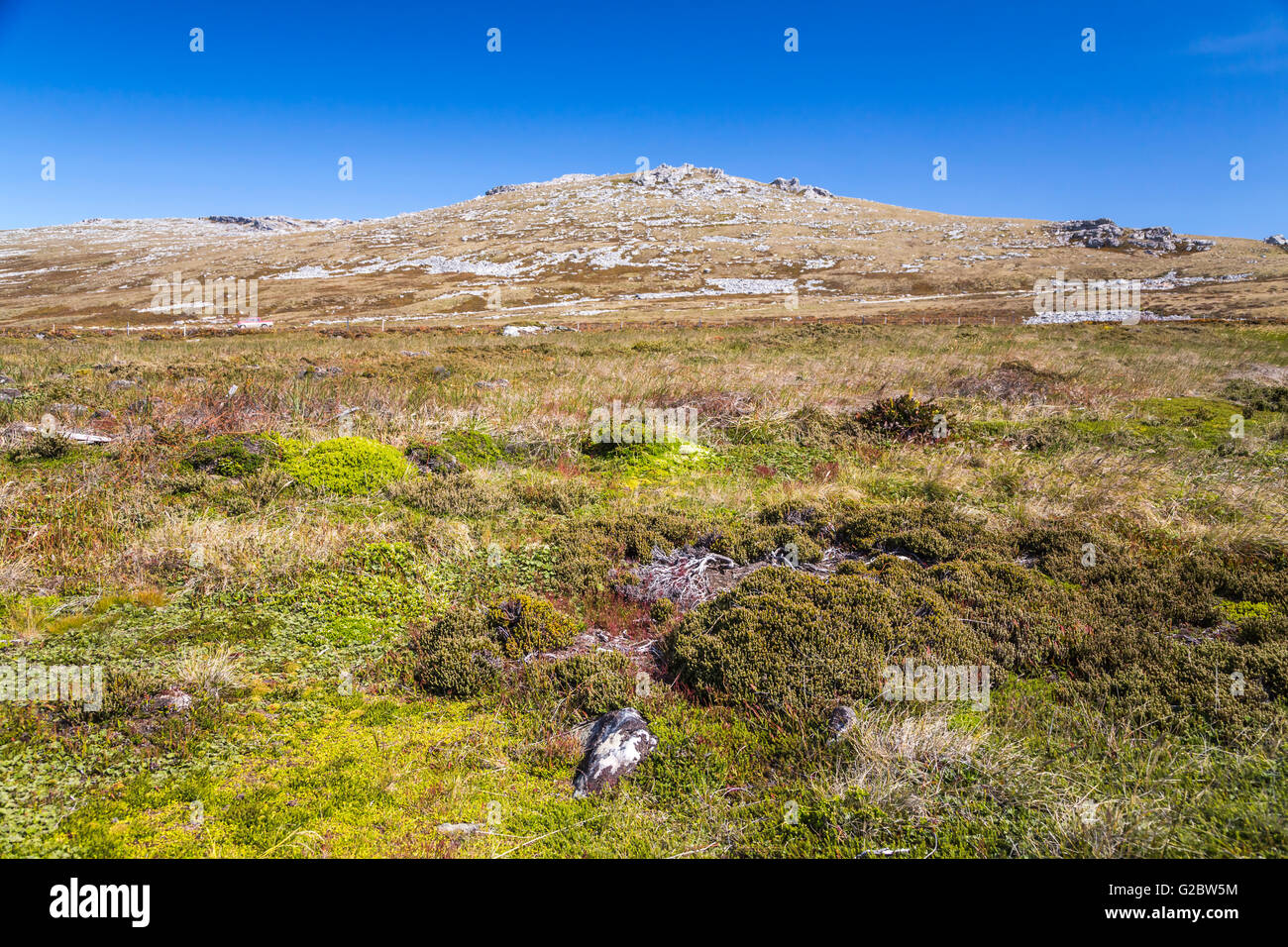 A countryside view of the peat bogs on East Falkland, Falkland Islands ...