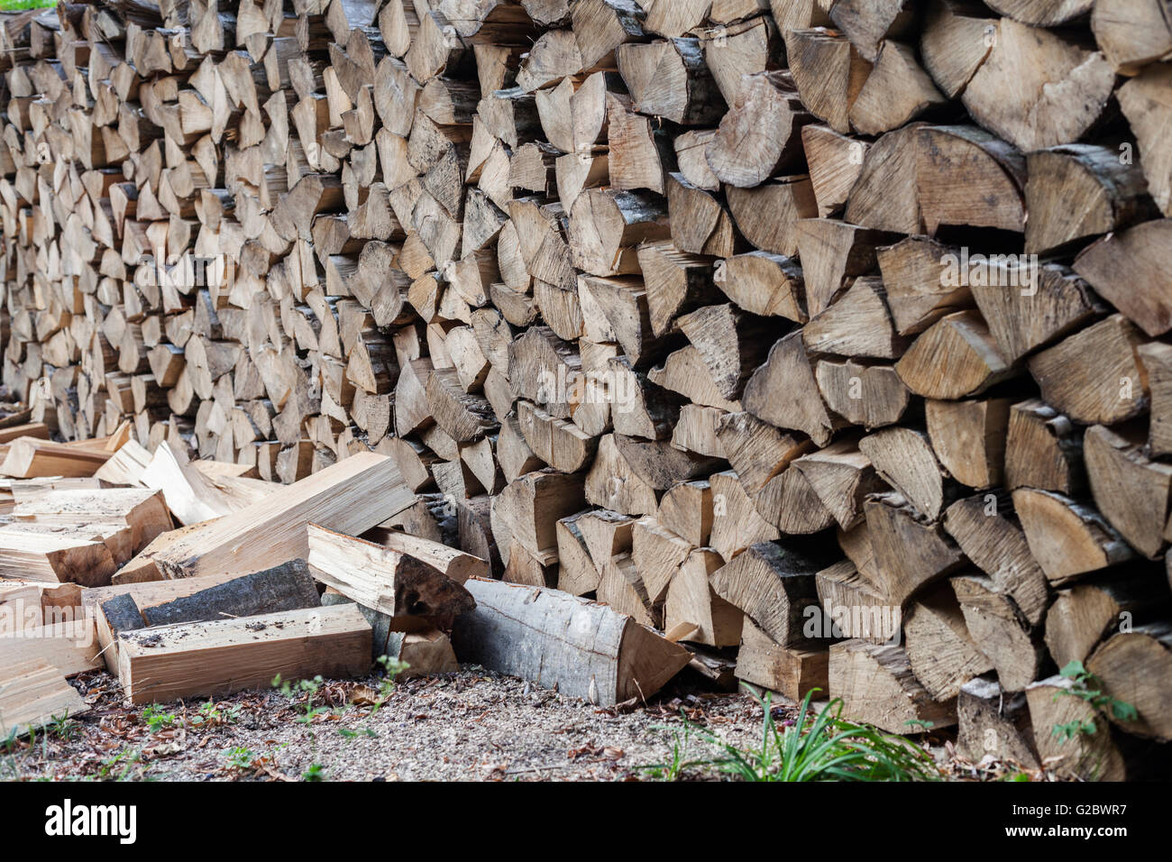 pile of chopped fire wood in the forest ready for the winter Stock ...