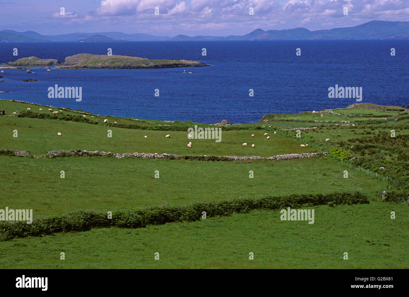 Countryside in Beara Peninsula, County Cork, Ireland Stock Photo - Alamy