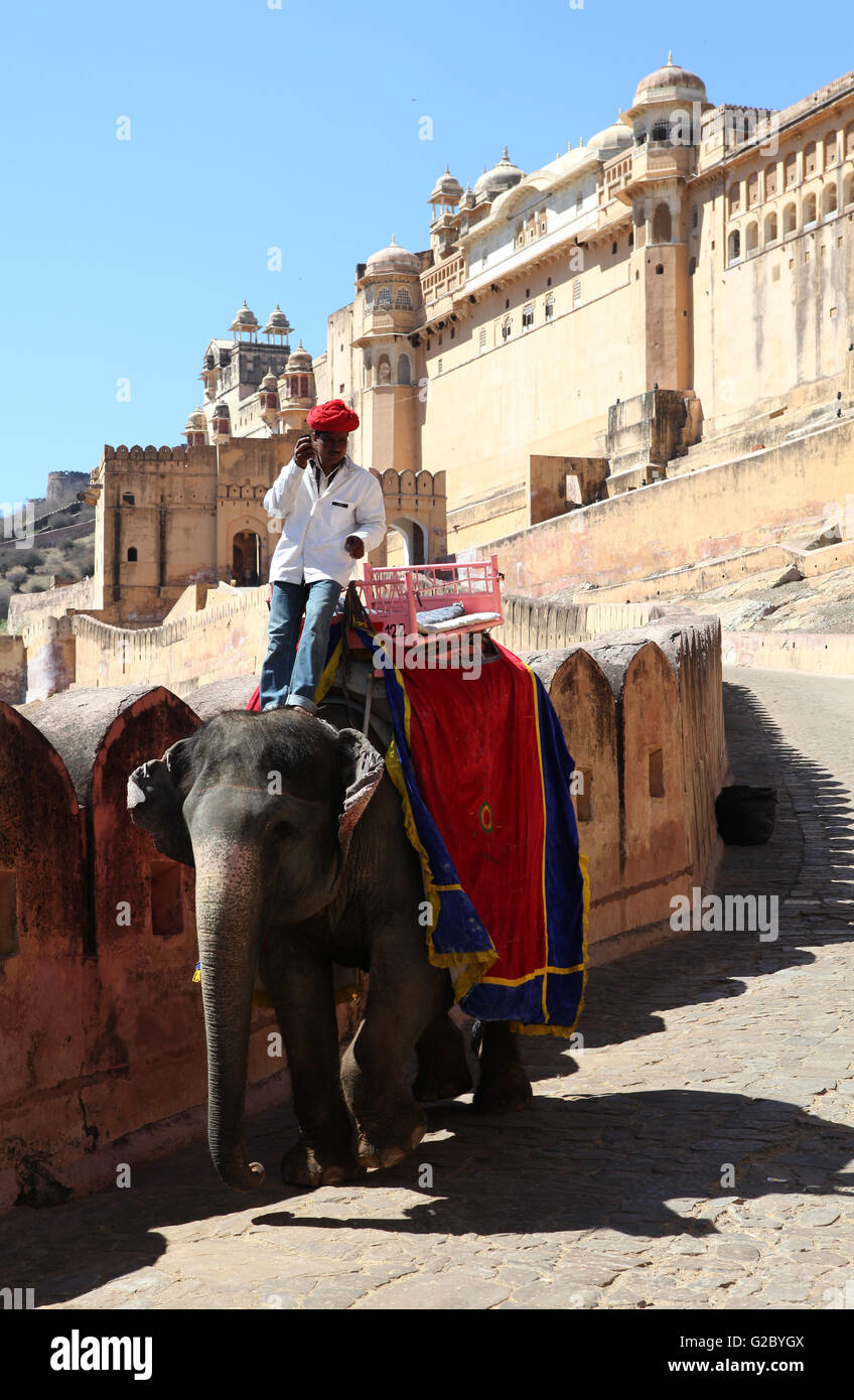 Elephant phone hi-res stock photography and images - Alamy