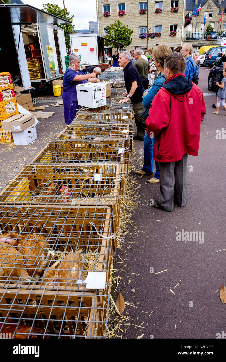 Shoppers buying live poultry in the market at Saint-Hilaire-du-Harcouet ...