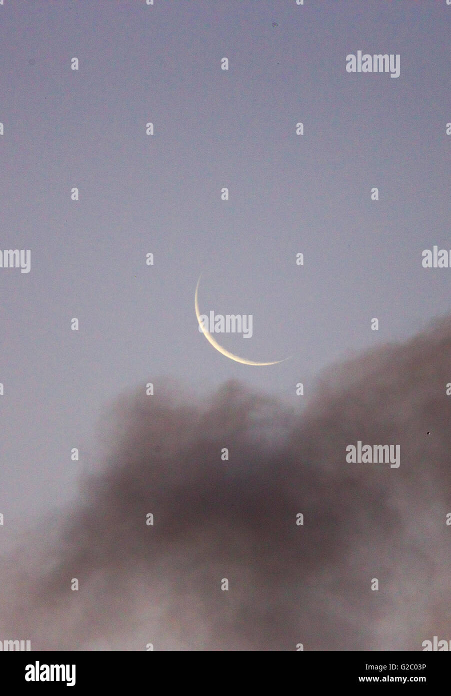 Crescent Moon in early dawn Stock Photo - Alamy