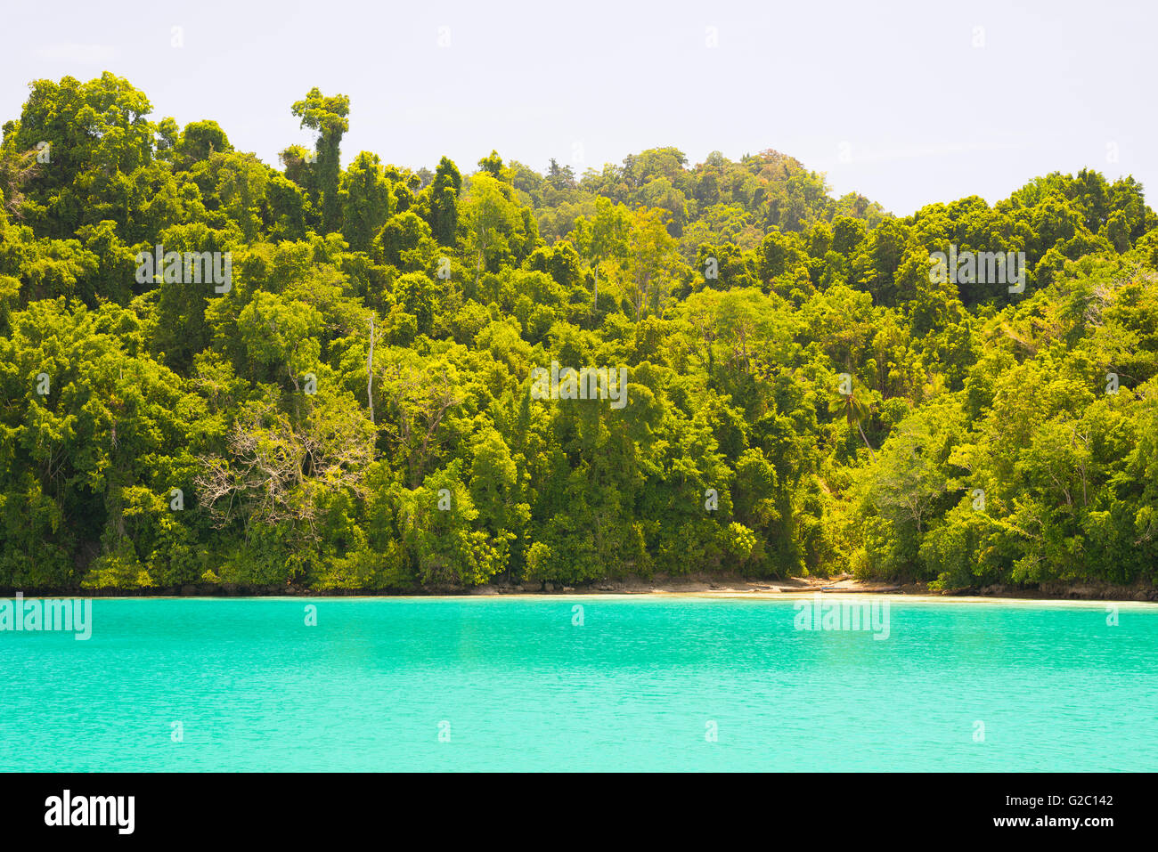 Malenge hi-res stock photography and images - Alamy