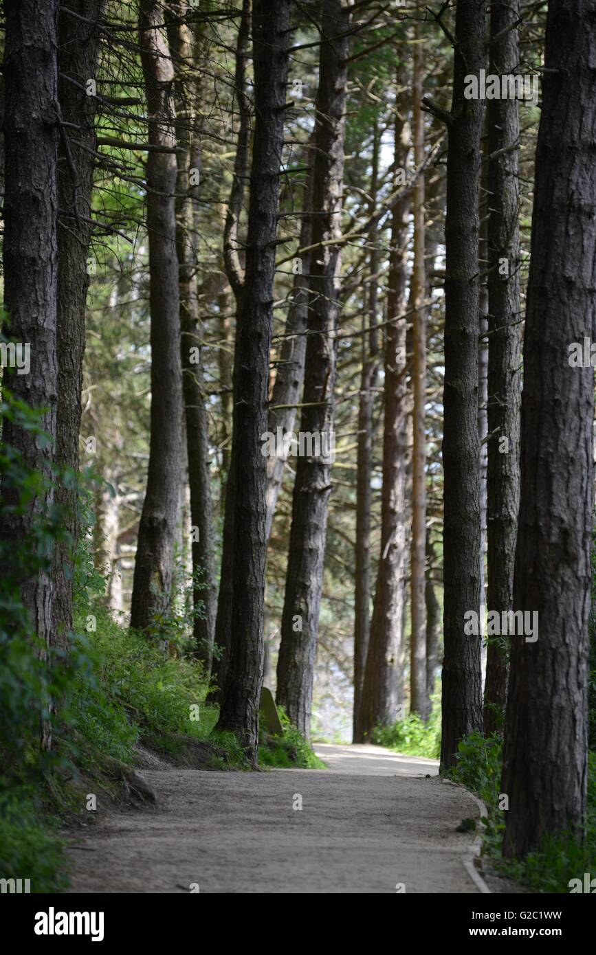 Langsett Reservoir, Peak District National Park, UK Stock Photo - Alamy