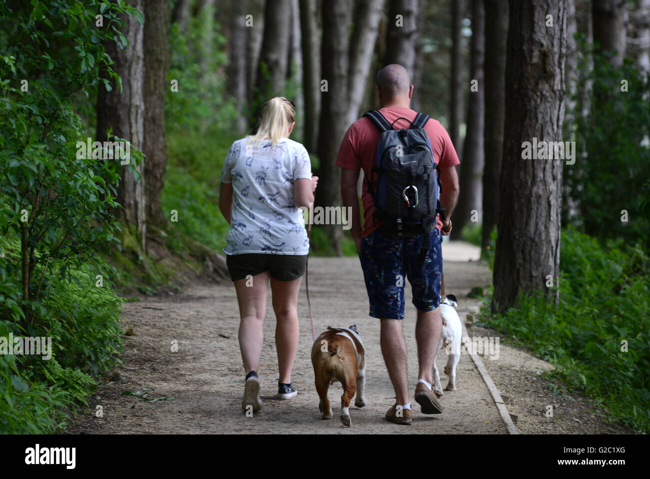 Reservoir dogs hi-res stock photography and images - Alamy