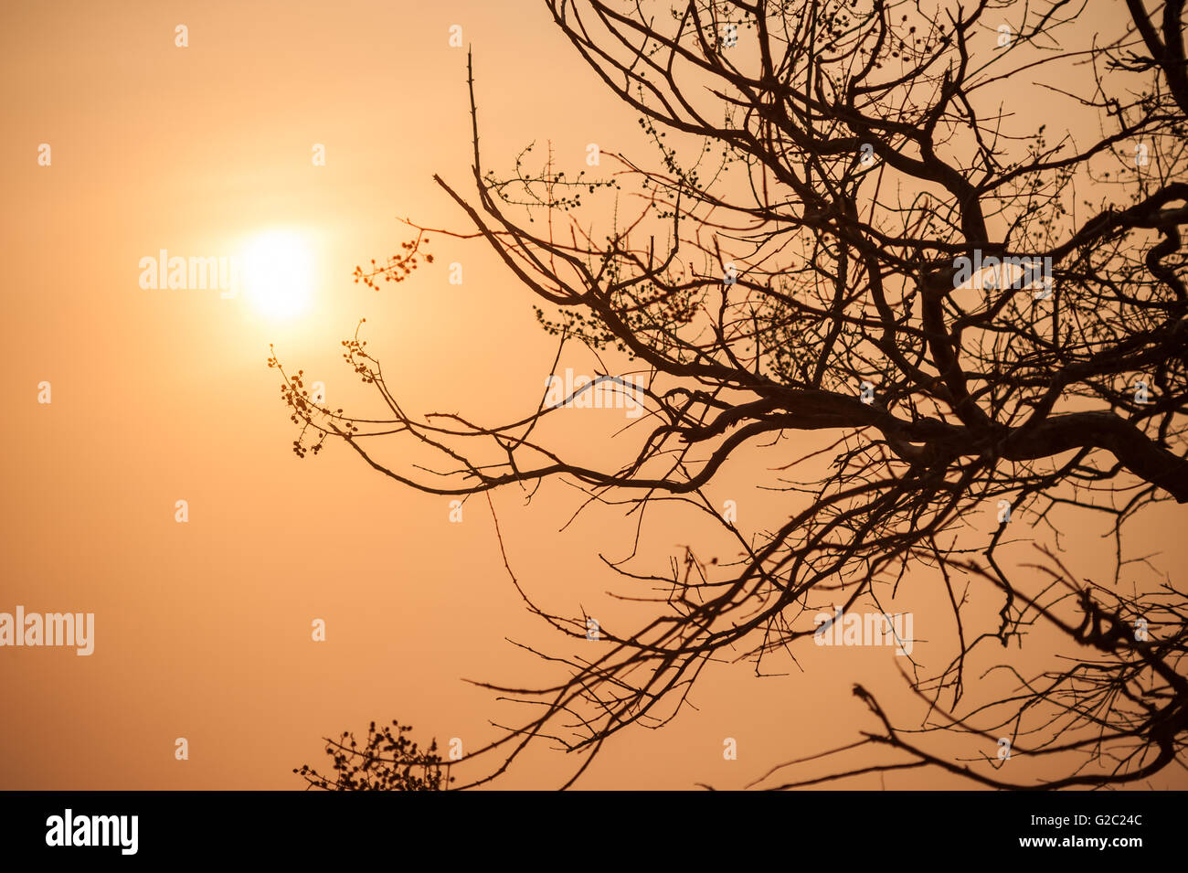 Place Of The Dead Stock Photos & Place Of The Dead Stock Images - Alamy
