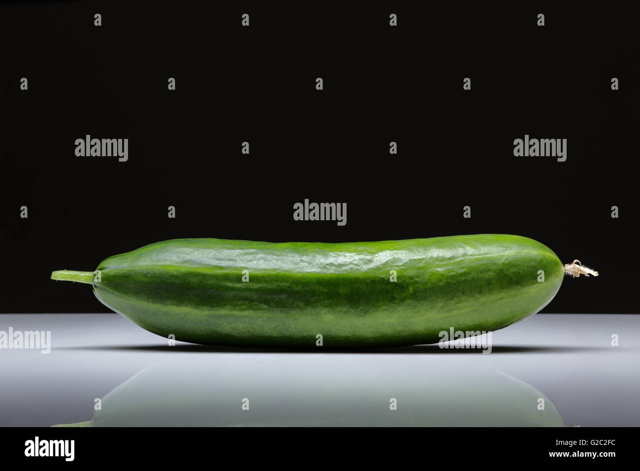 Home grown fresh mini cucumber on white studio background Stock Photo ...