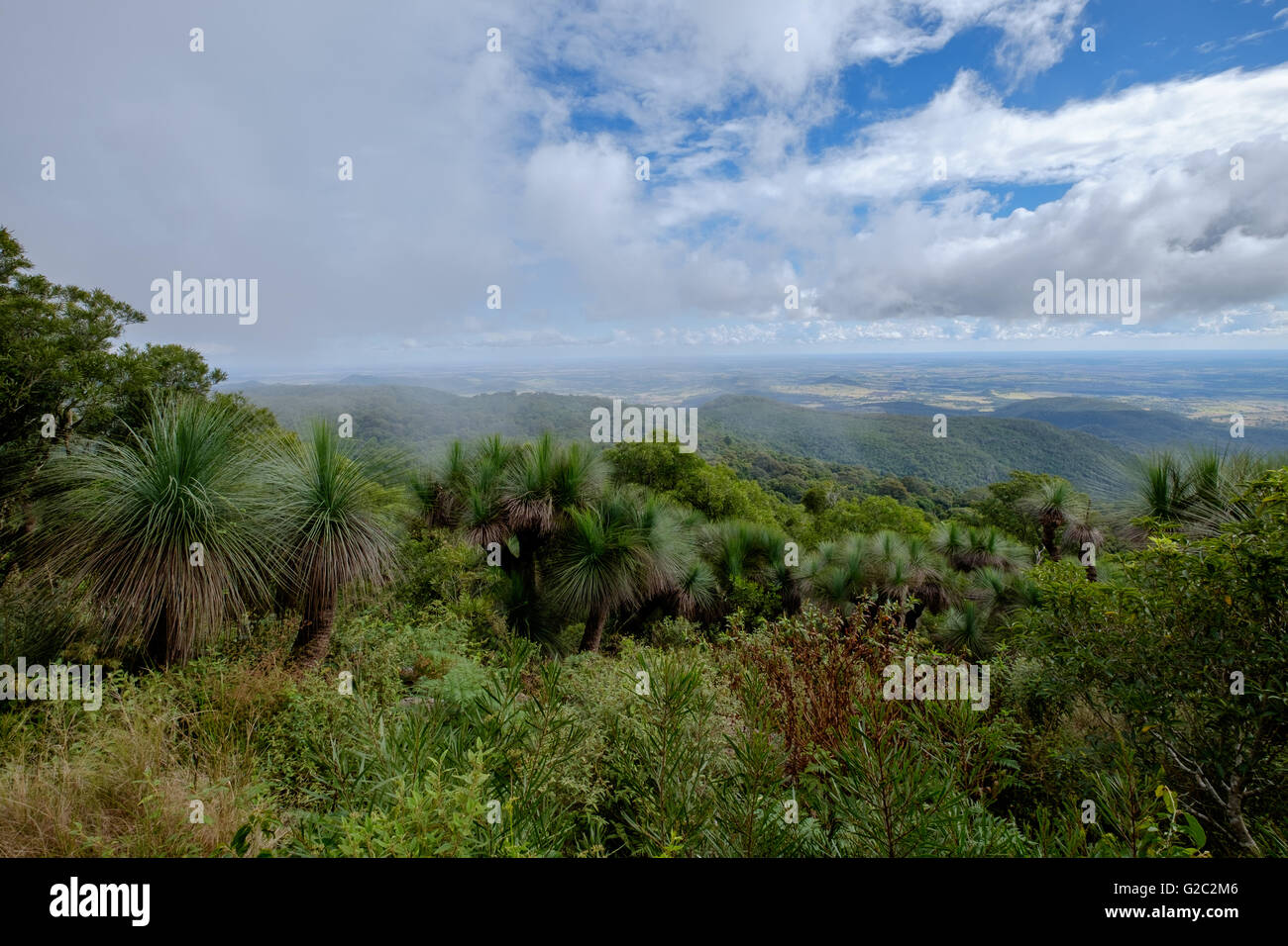 On the Mt Kiangarow track, Bunya Mountains Stock Photo - Alamy