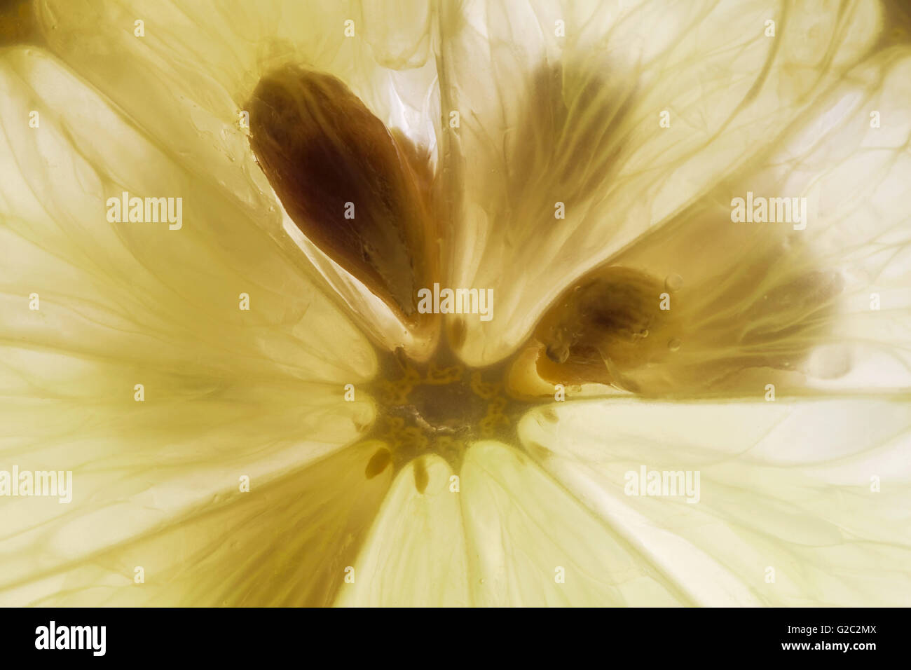 Translucent light hi-res stock photography and images - Alamy