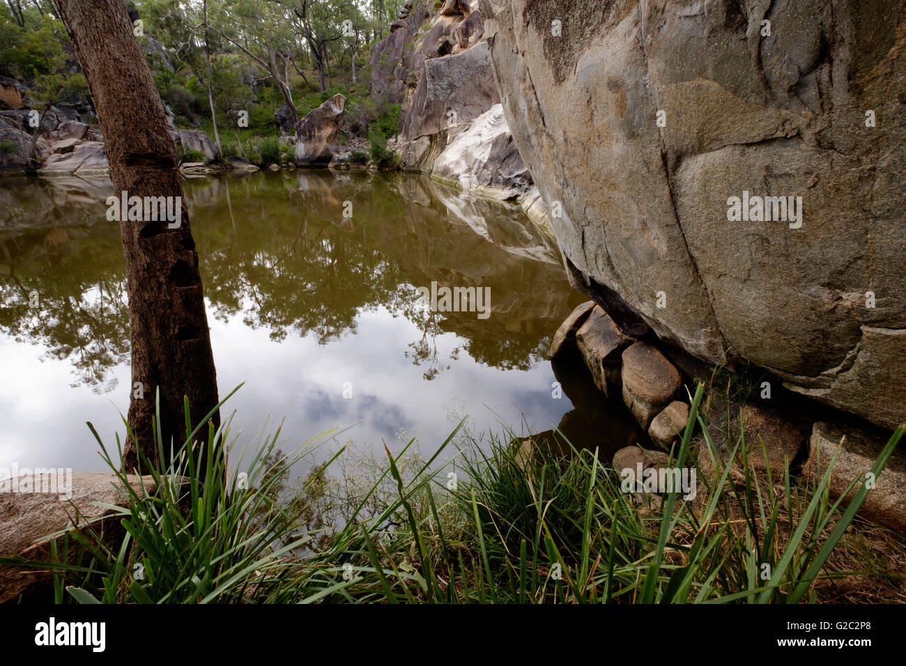 Maidenwell queensland hi-res stock photography and images - Alamy