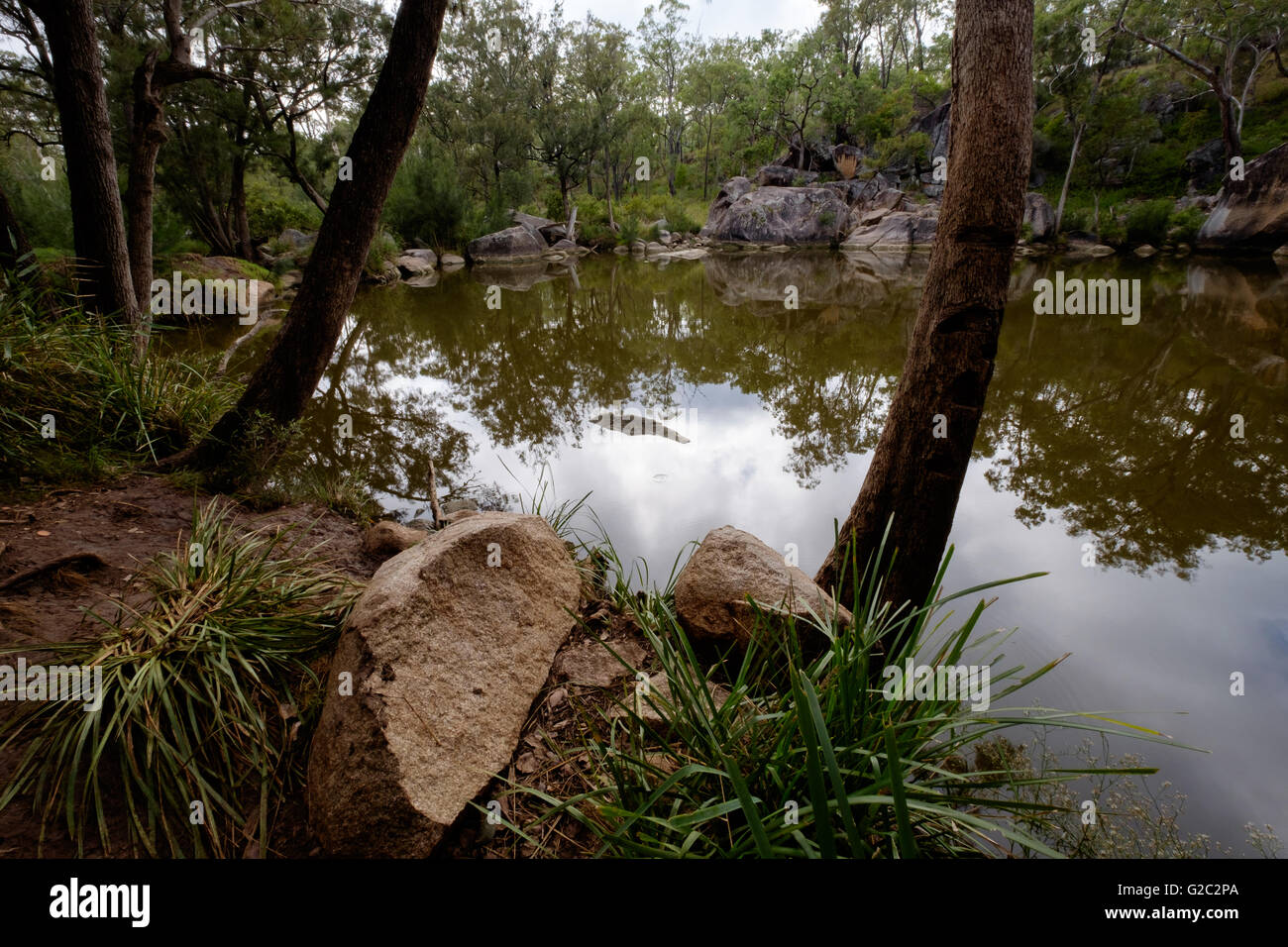 Maidenwell queensland hi-res stock photography and images - Alamy