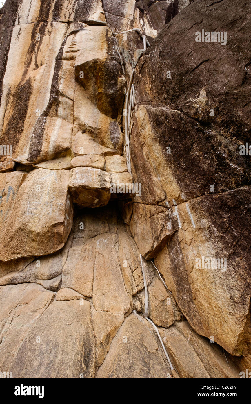 Maidenwell queensland hi-res stock photography and images - Alamy