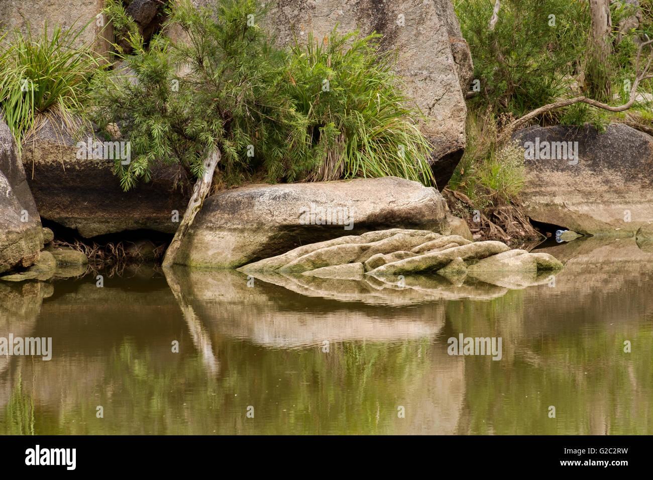 Maidenwell queensland hi-res stock photography and images - Alamy