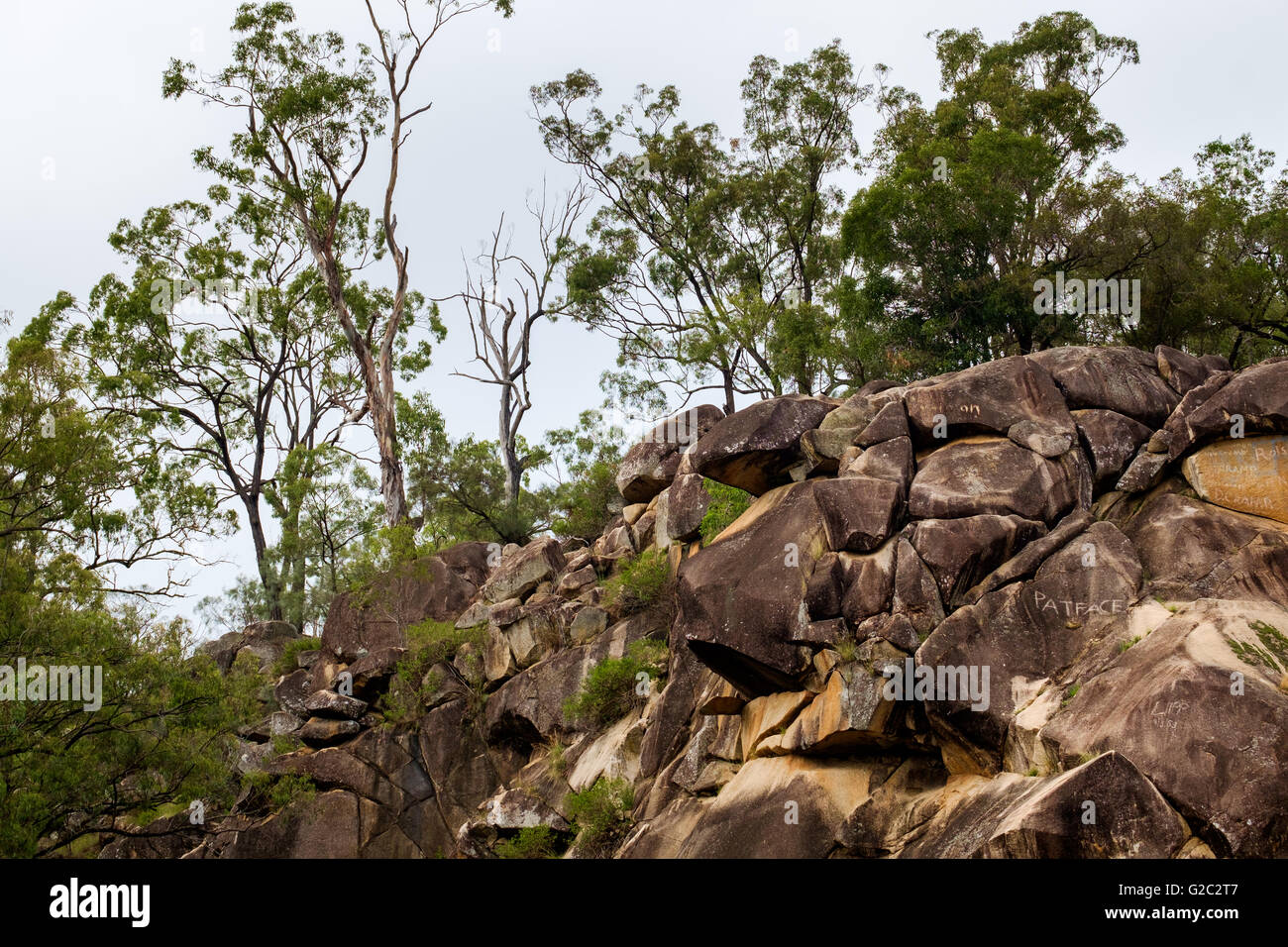 Maidenwell queensland hi-res stock photography and images - Alamy