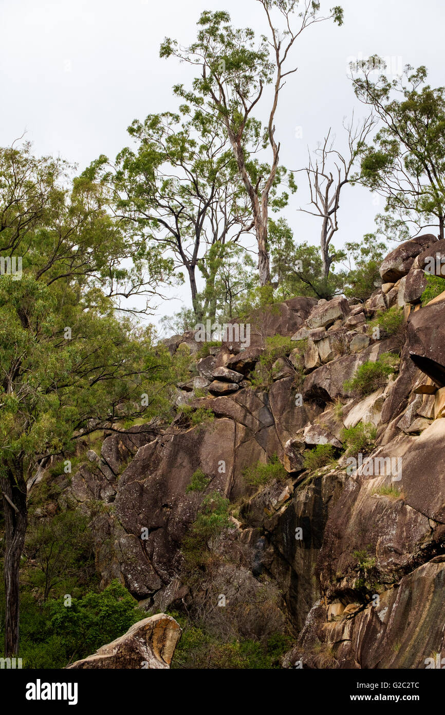 Maidenwell queensland hi-res stock photography and images - Alamy