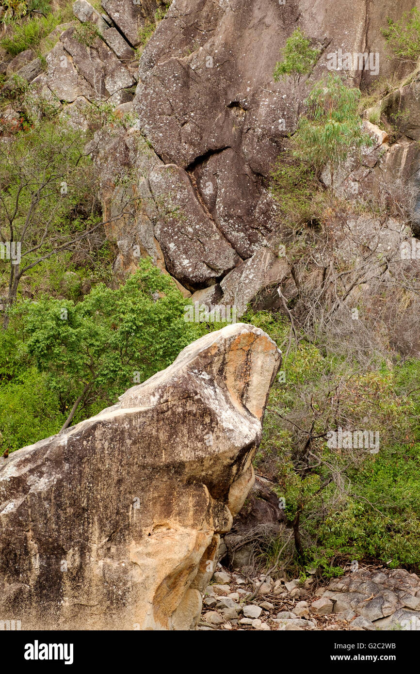 Maidenwell queensland hi-res stock photography and images - Alamy