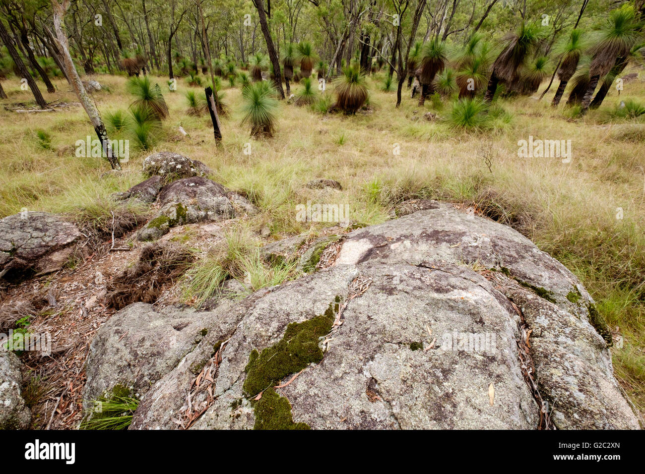 Maidenwell queensland hi-res stock photography and images - Alamy