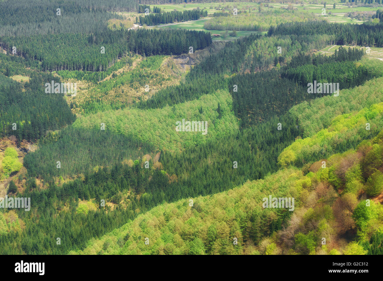 background of trees at the spring Stock Photo - Alamy