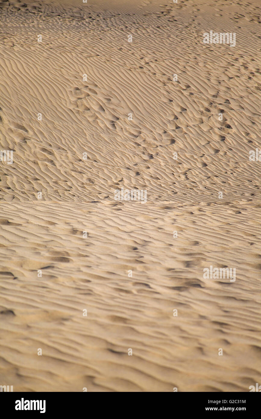 Close up view at sand texture Stock Photo - Alamy