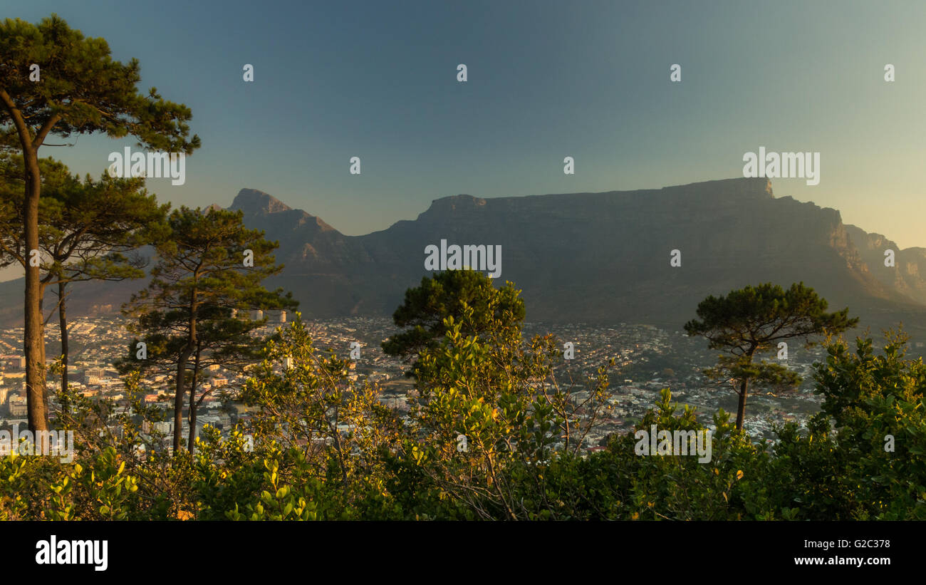Table Mountain From Signal Hill In The Evening Light Stock Photo - Alamy