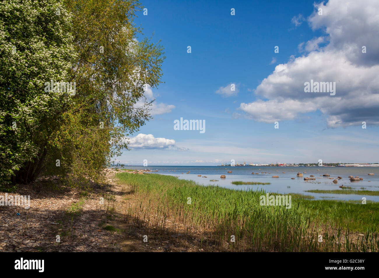 Tree sky landscape hi-res stock photography and images - Alamy