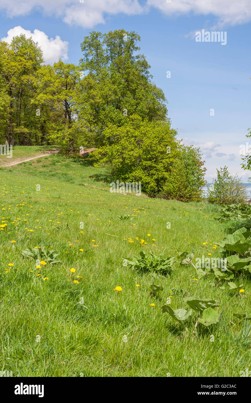 Tree sky landscape hi-res stock photography and images - Alamy