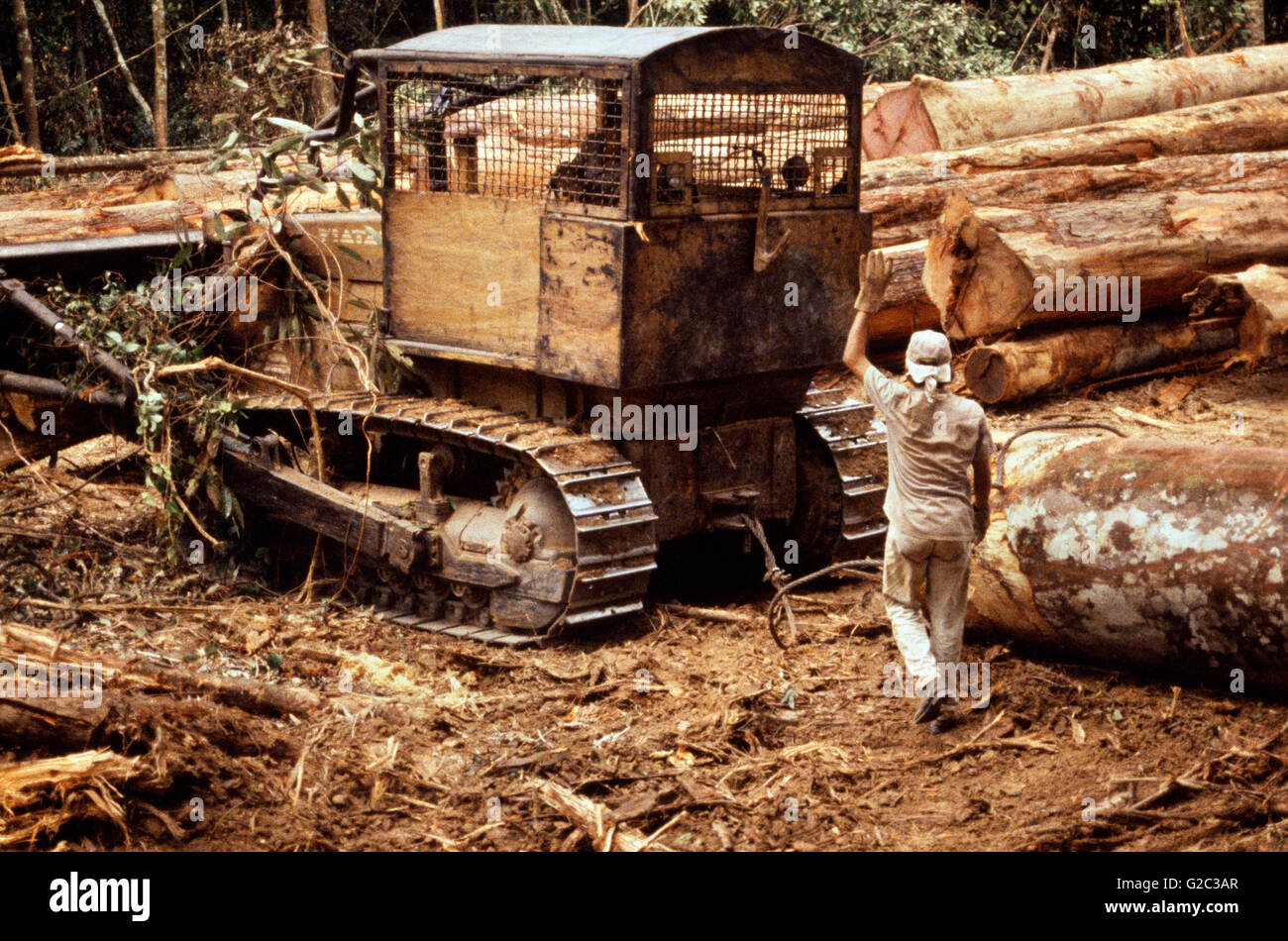 Logging , Paragominas, Para, Brazil. South America Stock Photo - Alamy