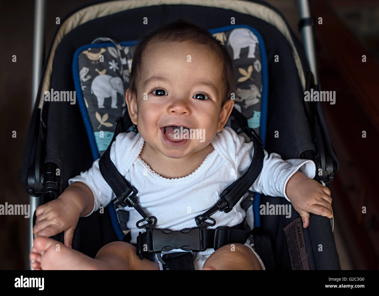 little baby boy sitting in a stroller in the home, ready for a walk in ...